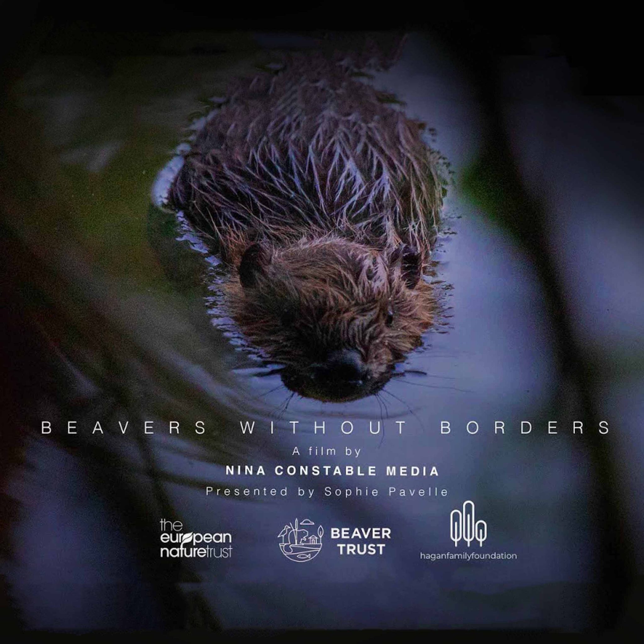 Homepage - Beaver Trust