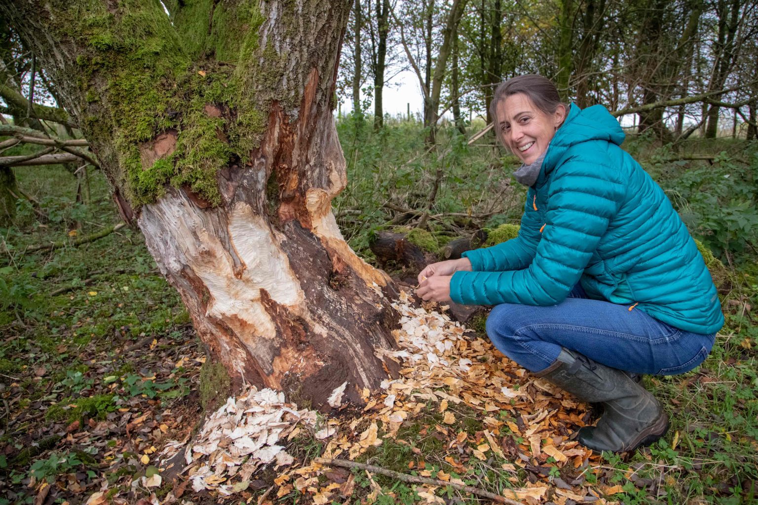 We need to talk about beavers - Beaver Trust