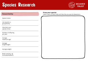 Education resources - Beaver Trust