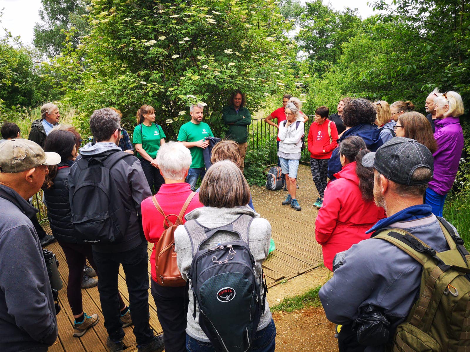 Ealing Beaver Project: the journey to bring beavers back to central ...