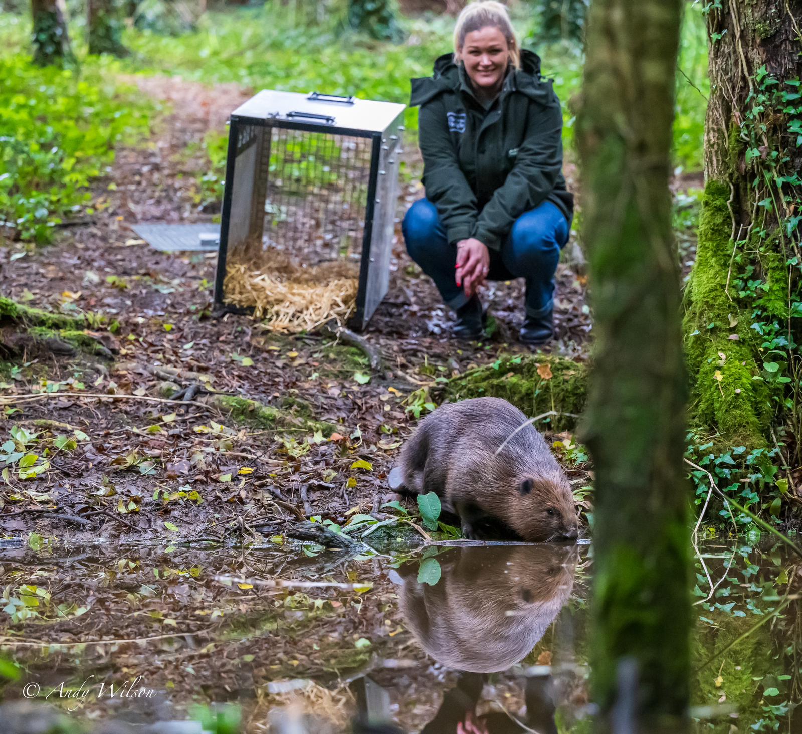 Byrti the beaver begins new adventure - Beaver Trust