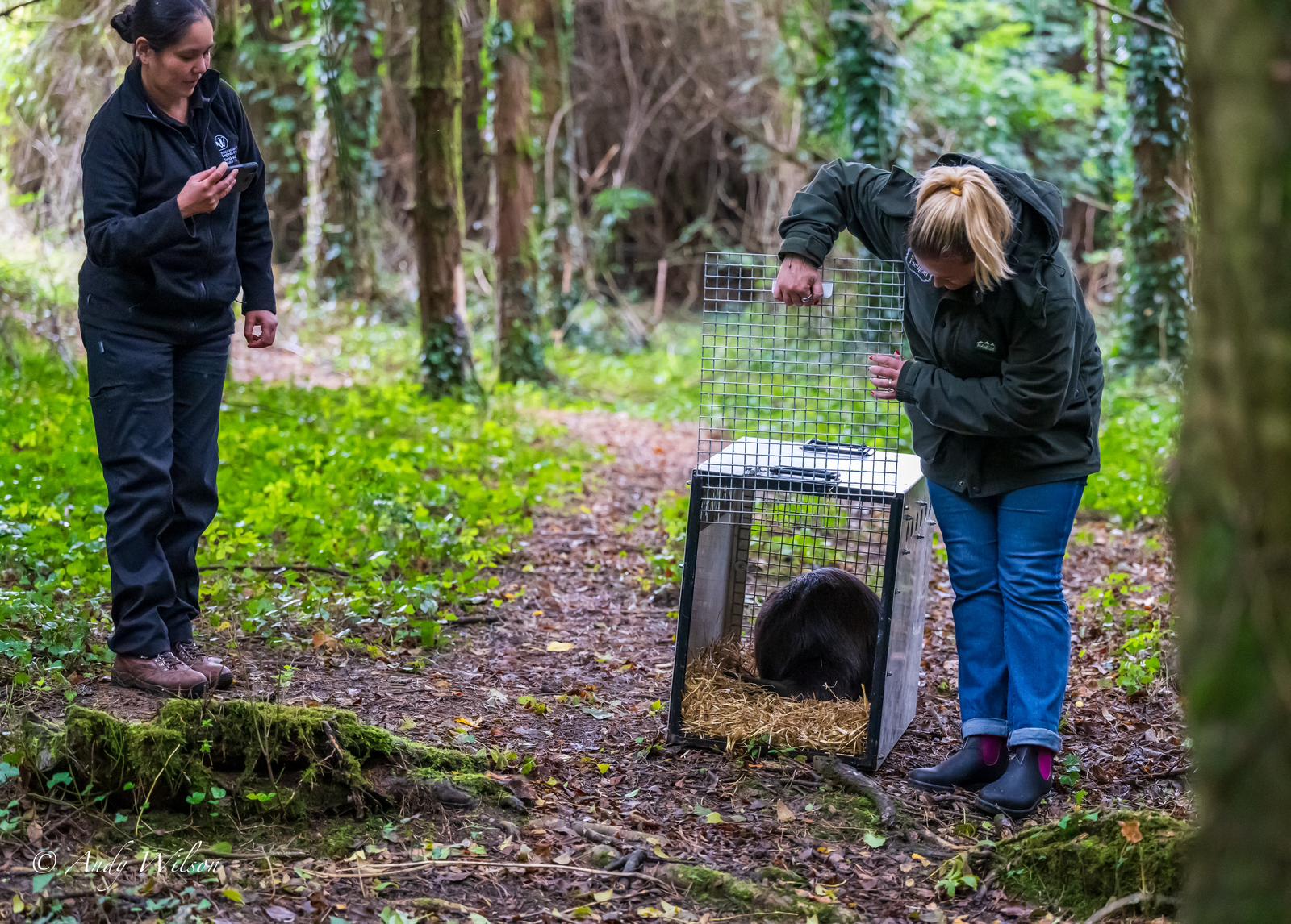 Byrti the beaver begins new adventure - Beaver Trust