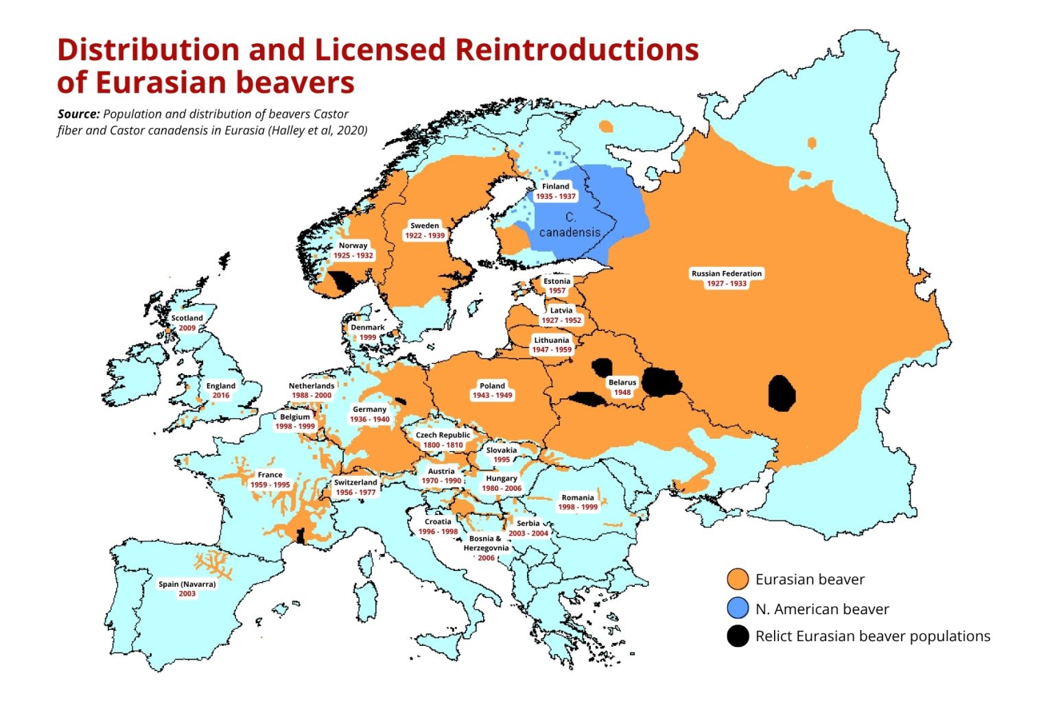 From Bjurälven to Britain: 103 years of beaver comebacks - and why we ...