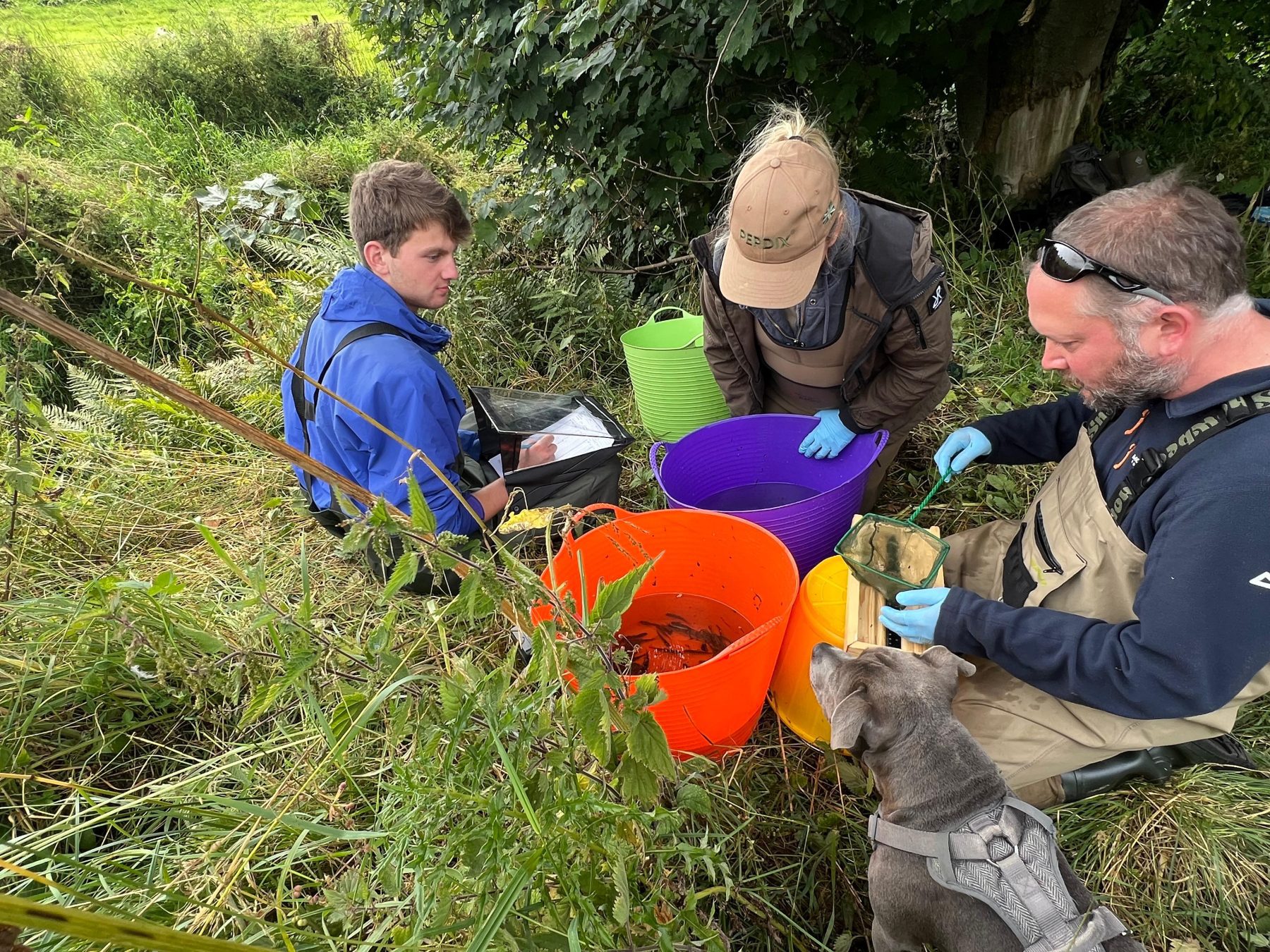 Guest blog: Reflecting on a beaver-based placement year - Beaver Trust